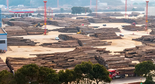 China lifts US log import ban after trump–Xi breakthrough, re ...